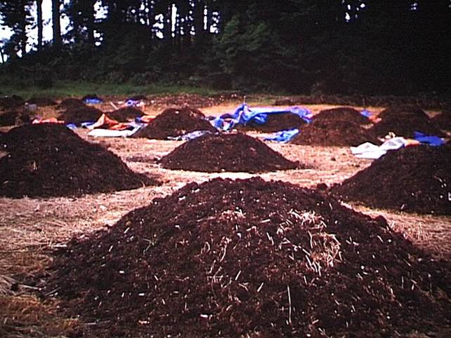 CETDEM - Centre For Environment, Technology And Development Malaysia