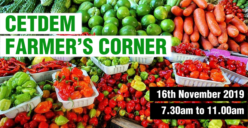 CETDEM – Promoting sustainable development since 1985