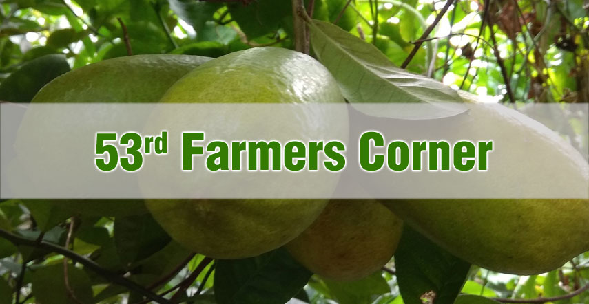 CETDEM – Promoting sustainable development since 1985