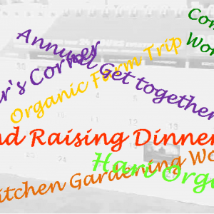 Contact Us – CETDEM